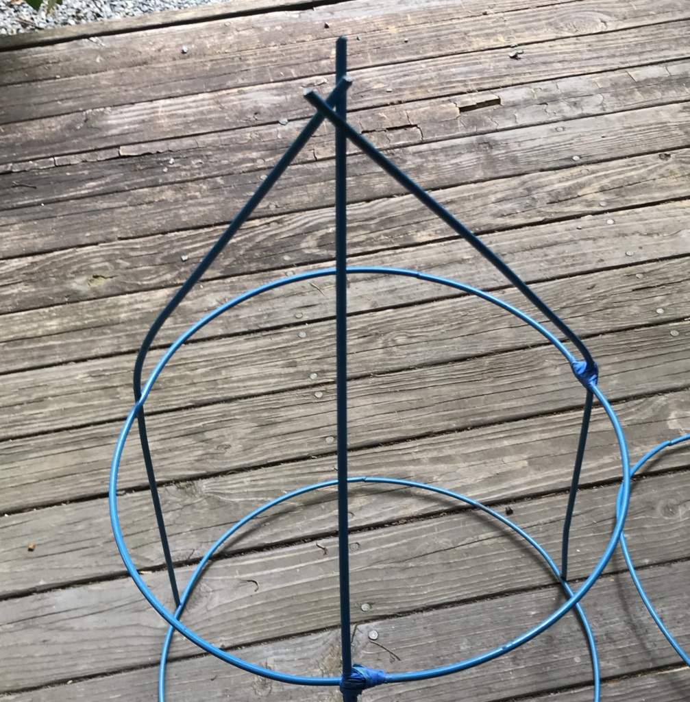 Making a Caterpillar Home